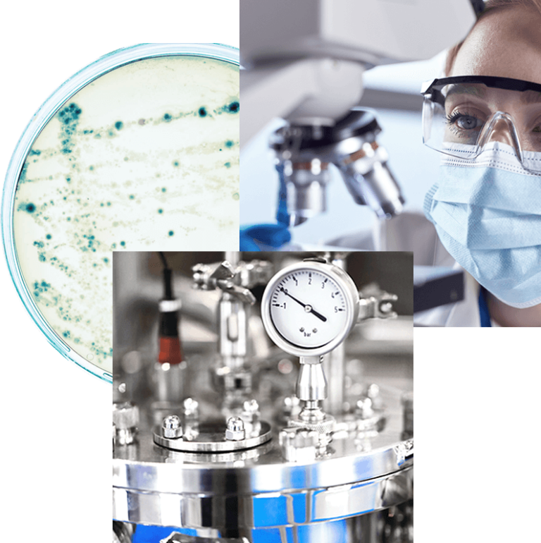 Bio-Technical Resources | Bio-Technical Resources